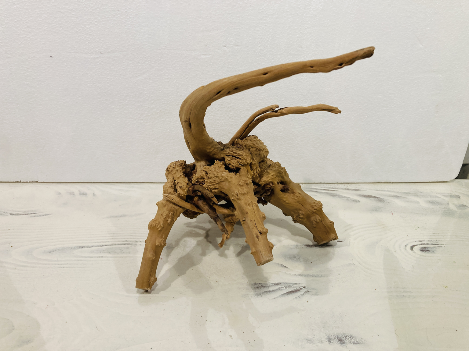 Madera Spider Gold n12 - Botánicos - DiscusArt