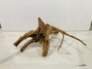 Madera Spider Gold n16 - Botánicos - DiscusArt