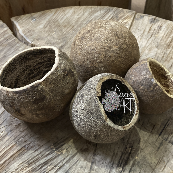 Coco cave - Botánicos - DiscusArt