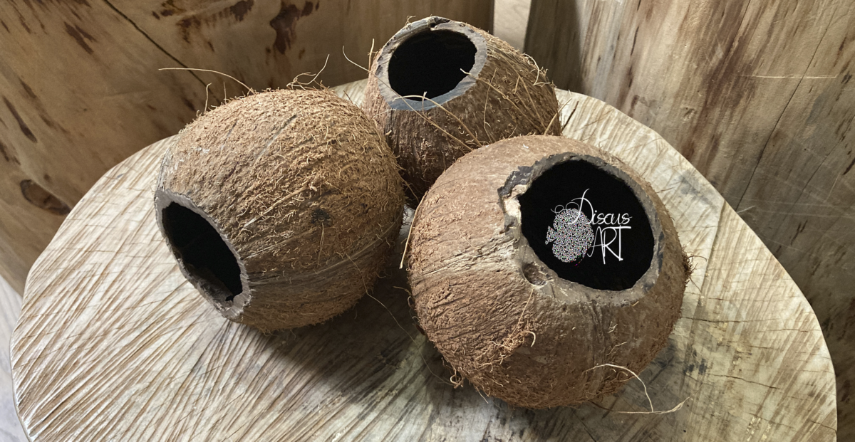 Coco cave - Botánicos - DiscusArt